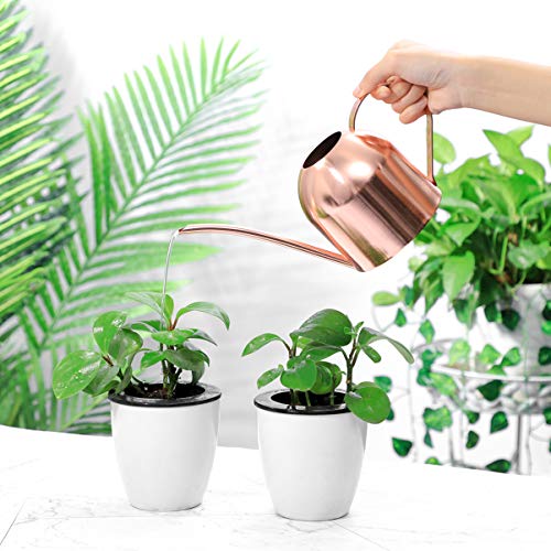 YARDWE 1000ml Stainless Steel Watering Can Plant Watering Can with Long Spout Small Size for Home Garden Office Bonsai Indoors and Outdoors