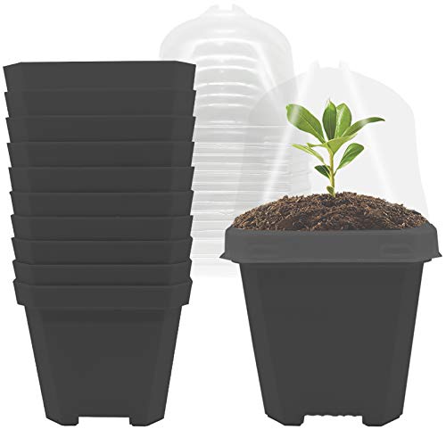 EBaokuup 4" Clear Plant Nursery Pots with Humidity Dome, 10PCS Plastic Gardening Pot Square Plant Container, Seed Starting Pot with Drain Holes for Seedlings/Vegetables/Succulents/Cuttings