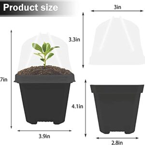 EBaokuup 4" Clear Plant Nursery Pots with Humidity Dome, 10PCS Plastic Gardening Pot Square Plant Container, Seed Starting Pot with Drain Holes for Seedlings/Vegetables/Succulents/Cuttings