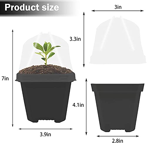 EBaokuup 4" Clear Plant Nursery Pots with Humidity Dome, 10PCS Plastic Gardening Pot Square Plant Container, Seed Starting Pot with Drain Holes for Seedlings/Vegetables/Succulents/Cuttings