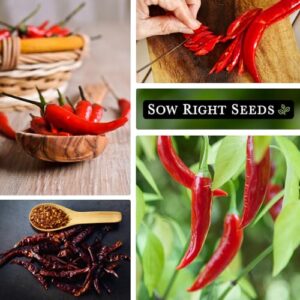 Sow Right Seeds - Cayenne Pepper Seed for Planting - Non-GMO Heirloom Packet with Instructions to Plant a Home Vegetable Garden - Grow Super Hot Thin Cayennes for Cooking or Seasoning(1)