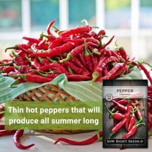 Sow Right Seeds - Cayenne Pepper Seed for Planting - Non-GMO Heirloom Packet with Instructions to Plant a Home Vegetable Garden - Grow Super Hot Thin Cayennes for Cooking or Seasoning(1)