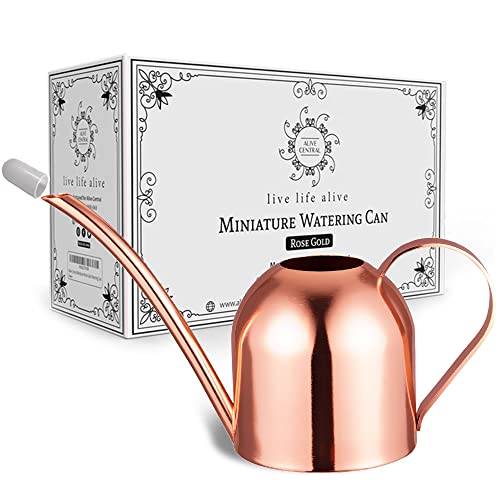 ALIVE CENTRAL Small Watering Can for Indoor Plants - Mini Watering Can - Rose Gold