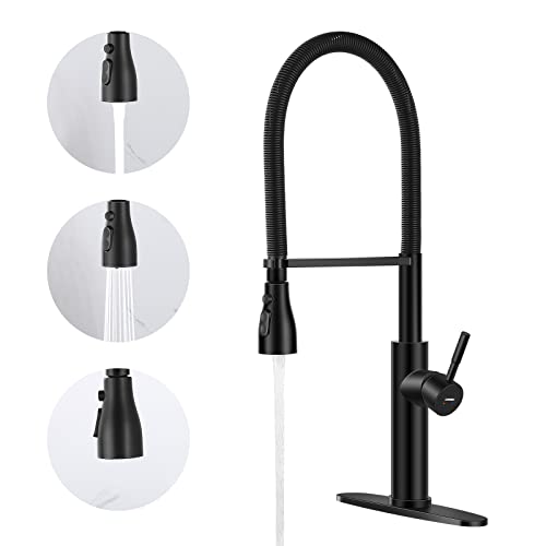 Lonheo Kitchen Faucets, High Arc Stainless Steel Faucets with Pull Down Sprayer (Black)