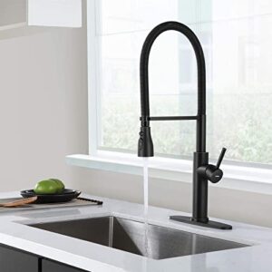 Lonheo Kitchen Faucets, High Arc Stainless Steel Faucets with Pull Down Sprayer (Black)