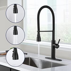 Lonheo Kitchen Faucets, High Arc Stainless Steel Faucets with Pull Down Sprayer (Black)