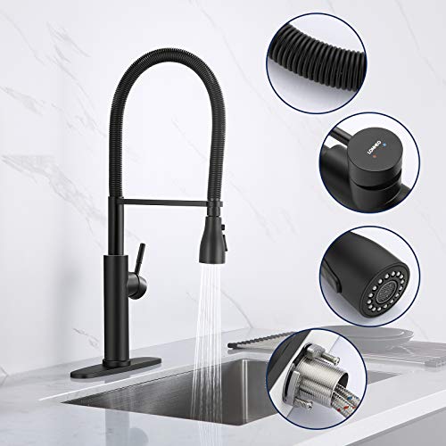 Lonheo Kitchen Faucets, High Arc Stainless Steel Faucets with Pull Down Sprayer (Black)