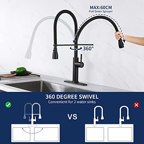 Lonheo Kitchen Faucets, High Arc Stainless Steel Faucets with Pull Down Sprayer (Black)