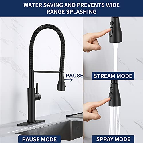 Lonheo Kitchen Faucets, High Arc Stainless Steel Faucets with Pull Down Sprayer (Black)