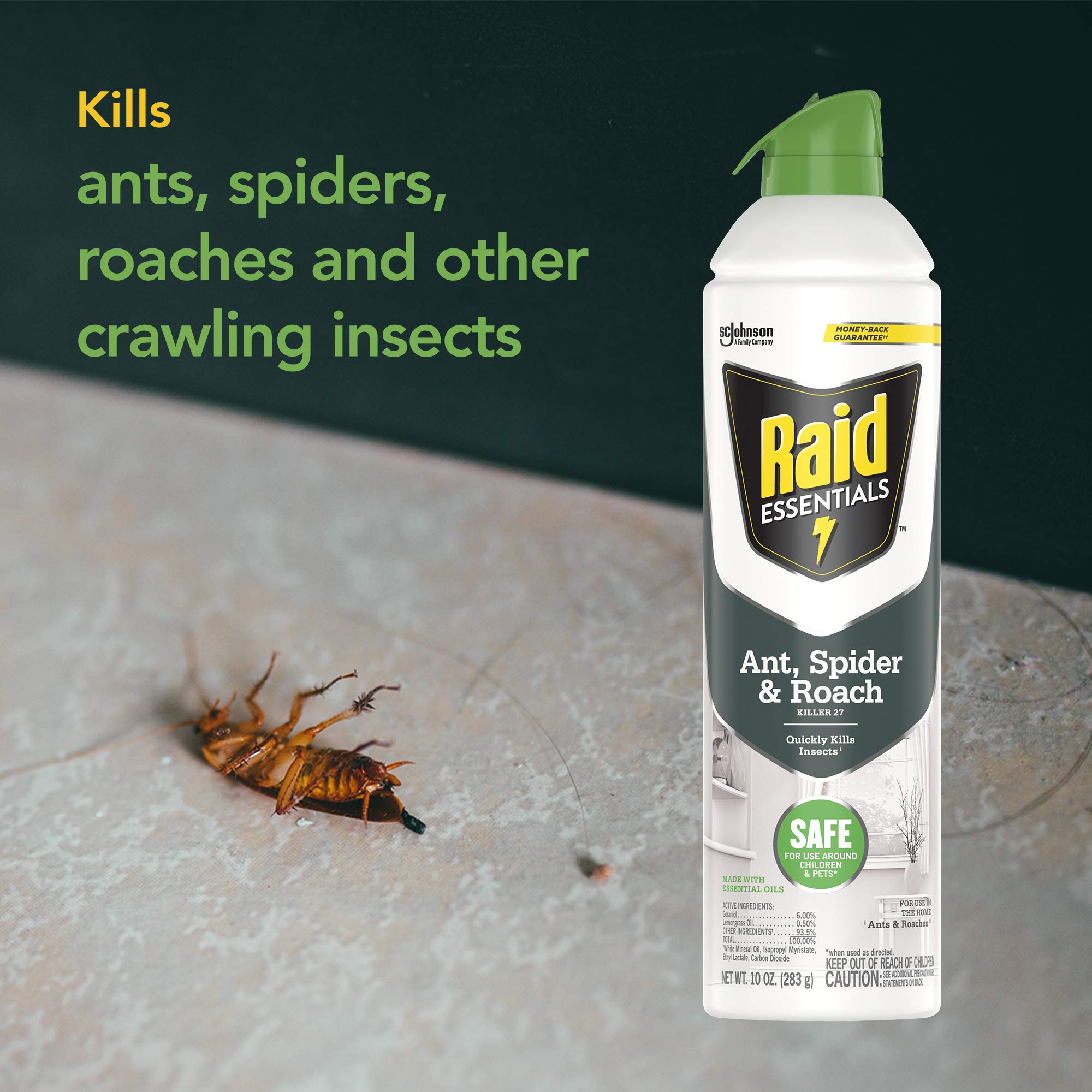 Raid Essentials Ant Spider, and Roach Killer Aerosol Spray, Child & Pet Safe, Kills Insects Quickly, for Indoor Use, 10 oz