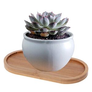 JKPOWER Oval Shape Bamboo Wood Saucer Plant Tray Mini Plant Flower Pot Stand Favor Succulent Pot Tray Simple Elegant Design Home Balcony Decor