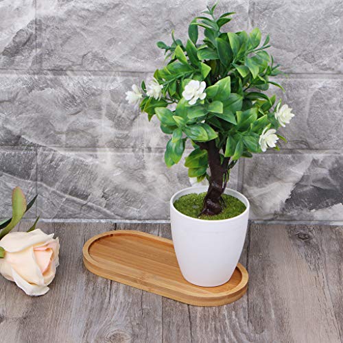 JKPOWER Oval Shape Bamboo Wood Saucer Plant Tray Mini Plant Flower Pot Stand Favor Succulent Pot Tray Simple Elegant Design Home Balcony Decor