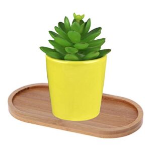 JKPOWER Oval Shape Bamboo Wood Saucer Plant Tray Mini Plant Flower Pot Stand Favor Succulent Pot Tray Simple Elegant Design Home Balcony Decor