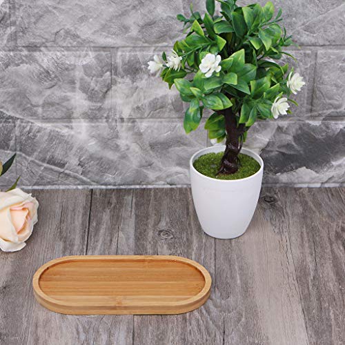 JKPOWER Oval Shape Bamboo Wood Saucer Plant Tray Mini Plant Flower Pot Stand Favor Succulent Pot Tray Simple Elegant Design Home Balcony Decor