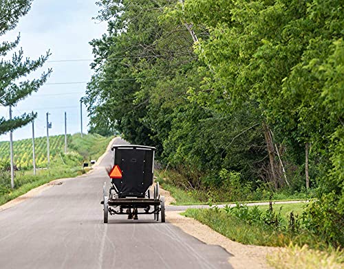 2-Pack Slow Moving Vehicle Triangle Safety Sign,14"x16" Plastic, Highly Visible, Engineering Grade Reflective for Golf Cart