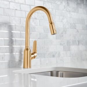 hansgrohe Focus N Gold High Arc Kitchen Faucet, Kitchen Faucets with Pull Down Sprayer, Faucet for Kitchen Sink, Brushed Gold Optic 71800251