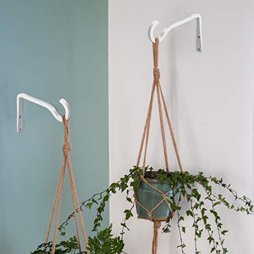 6 inch Plant Hanger Wall Hooks for Hanging Bracket Lanterns Coats Heavy-Duty Metal Hooks for Plant Hangers Flower Basket Lights and Artworks Home Decor Indoor & Outdoor 2 Pack Screws Included