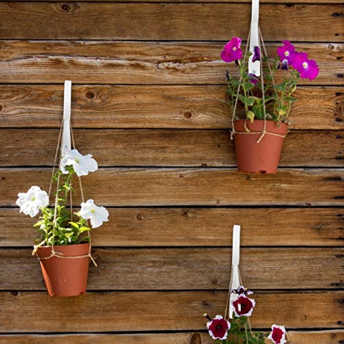 6 inch Plant Hanger Wall Hooks for Hanging Bracket Lanterns Coats Heavy-Duty Metal Hooks for Plant Hangers Flower Basket Lights and Artworks Home Decor Indoor & Outdoor 2 Pack Screws Included