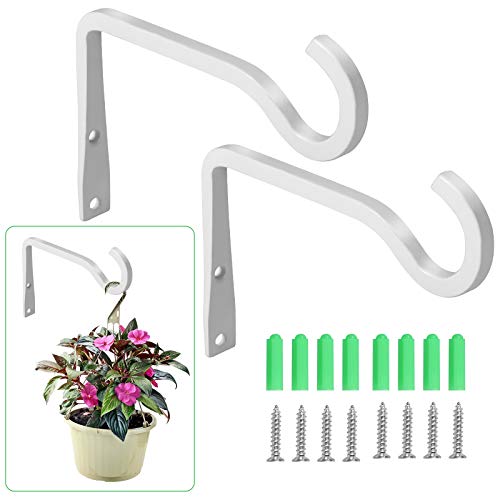 6 inch Plant Hanger Wall Hooks for Hanging Bracket Lanterns Coats Heavy-Duty Metal Hooks for Plant Hangers Flower Basket Lights and Artworks Home Decor Indoor & Outdoor 2 Pack Screws Included