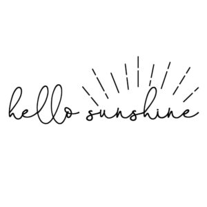 Hello Sunshine Vinyl Decal Mirror Decal Bathroom Decor Shower Door Decal Wall Decal Car Vinyl - Set of 2 - Black/White - 6.5x2.6 inch