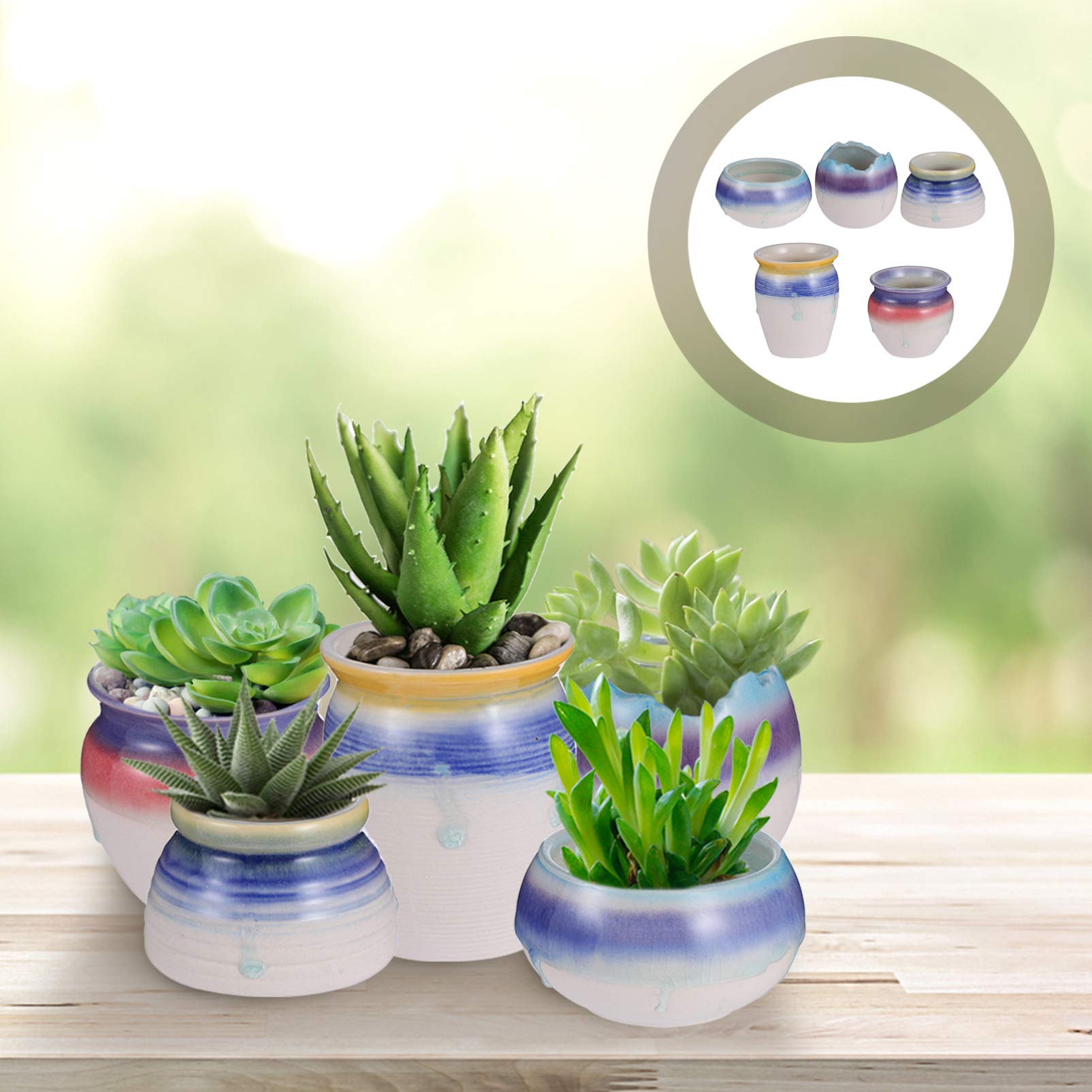 Cabilock 5pcs Ceramic Succulent Flower Pot Flower Vase Mini Garden Pot Container Decorative Flower Pot Small Flower Pot Resin Pot Succulent Flower Pots Succulent Pots Makeup Ceramics Rural