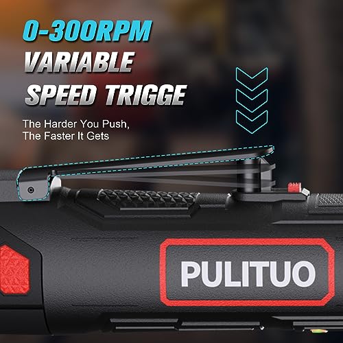 PULITUO Cordless Electric Ratchet Wrench 3/8", 12V Power Ratchet Tool Kit 37 Ft.Lbs (50 N.m) with 2-PACK 2000mAh Lithium-Ion Batteries, 45 Min Fast Charger, Variable Speed 10 Sockets