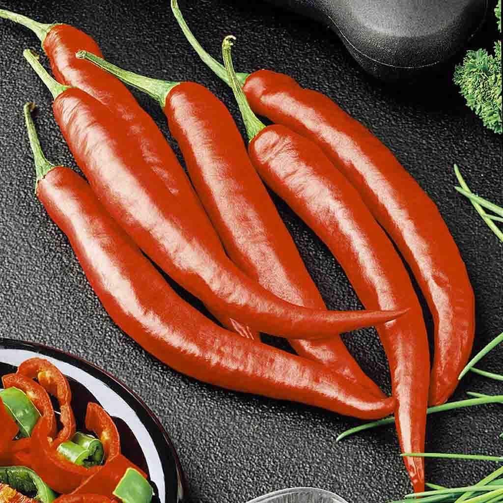 Gaea's Blessing Seeds - Cayenne Pepper Seeds - Heirloom Hot Pepper Long Red Slim Non-GMO Open-Pollinated High Yield Germination Rate 93% Net Wt. 1.0g