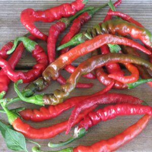 Gaea's Blessing Seeds - Cayenne Pepper Seeds - Heirloom Hot Pepper Long Red Slim Non-GMO Open-Pollinated High Yield Germination Rate 93% Net Wt. 1.0g