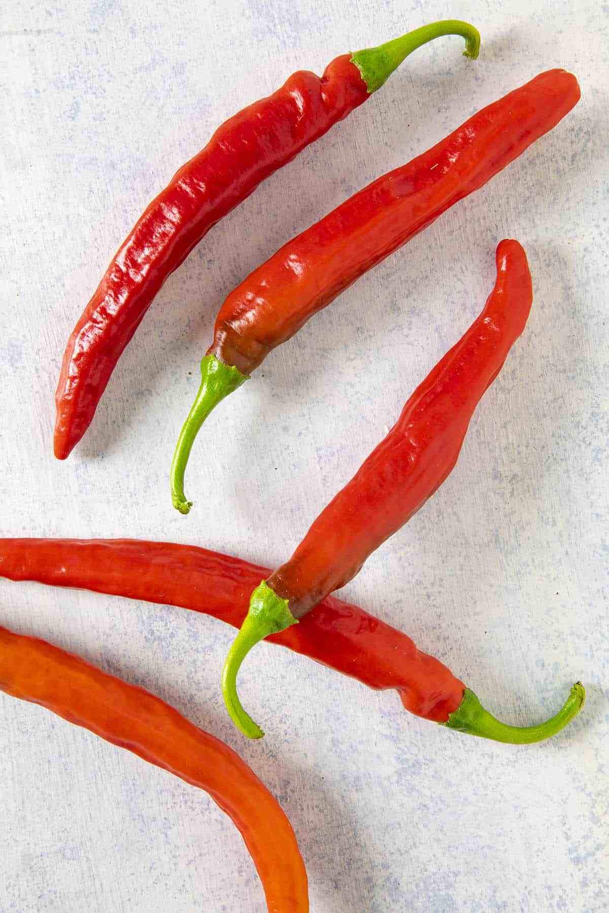 Gaea's Blessing Seeds - Cayenne Pepper Seeds - Heirloom Hot Pepper Long Red Slim Non-GMO Open-Pollinated High Yield Germination Rate 93% Net Wt. 1.0g