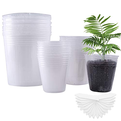 Bluepro Plant Nursery Pots 6/4/3 Inch 20pcs Labels, Transparent Plastic Planter with Drainage Hole for Indoor Succulent, Seed Starting Pot Flower Plant Container for Seedlings, Cuttings 36 Packs