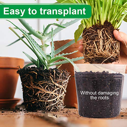 Bluepro Plant Nursery Pots 6/4/3 Inch 20pcs Labels, Transparent Plastic Planter with Drainage Hole for Indoor Succulent, Seed Starting Pot Flower Plant Container for Seedlings, Cuttings 36 Packs