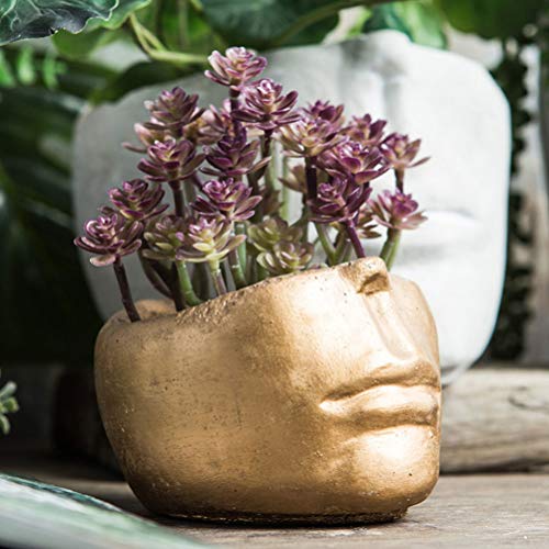 Cabilock 1pc Flowerpot Flower Pot Vase Head Face Vase Desk Flower Pot Desktop Flower Pot Cute Head Planter Decorative Plant Pot Creative Planter Bonsai Pots Cement Pearlescent Makeup