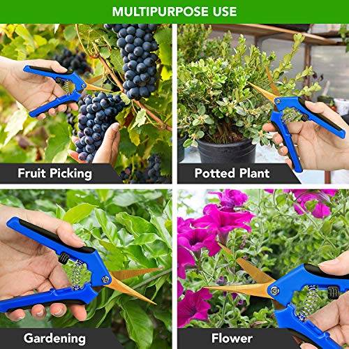 iPower 4-Pack 6.5 Inch Gardening Hand Pruner Pruning Shears with Titanium Coated Curved Precision Blades for Plant, Blue