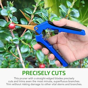 iPower 4-Pack 6.5 Inch Gardening Hand Pruner Pruning Shears with Titanium Coated Curved Precision Blades for Plant, Blue