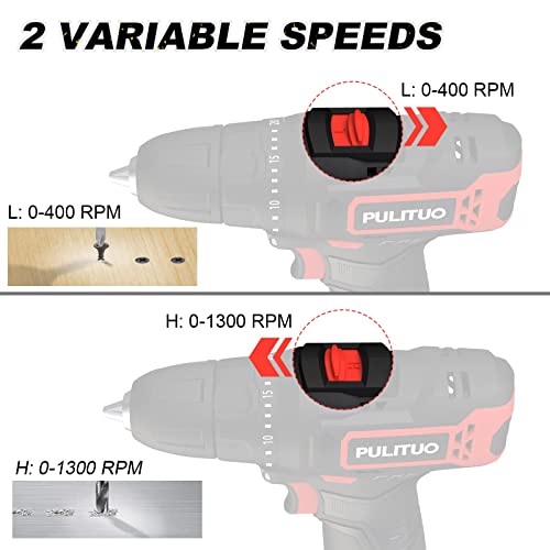 PULITUO Cordless Drill/Driver Kit, Power drill Set with 35N.m Torque, 20+1 Clutch, 3/8" Keyless Chuck, 2-Variable Speed-12V Electric Drill Driver for Wood Bricks Walls Metal