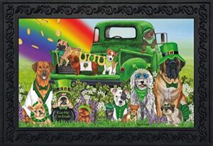 briarwood lane lucky pups st patricks day door mat - 30" x 18" - st patricks day door mat outdoor - st patricks door mat door mat inserts st patricks day outdoor mat