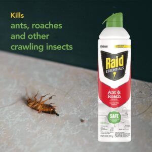 Raid Essentials Ant & Roach Killer Aerosol Spray, Child & Pet Safe, Kills Insects Quickly, for Indoor Use, 10 oz (Pack of 3)