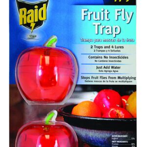 Raid Fruit Fly Trap Bundle Fruit Fly Traps for Kitchen, Fly Trap Indoor Use, Fly Traps, Fly Killer, Fly Catcher for Food Prep Areas, Gnat Trap Indoor Use (6 Pack)' (6 Pack, 12 Total Traps)