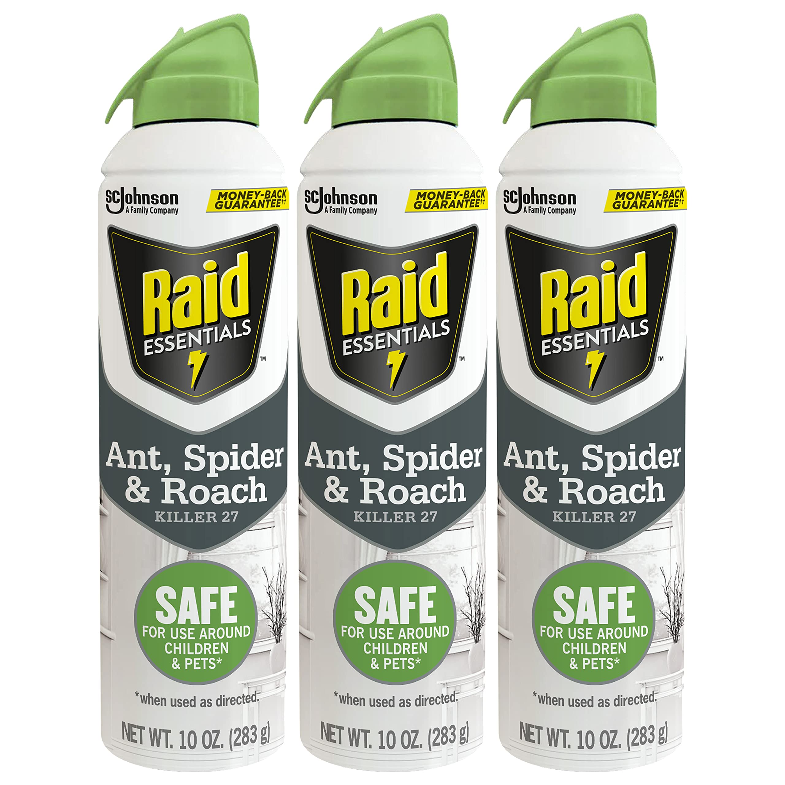 Raid Essentials Ant Spider, and Roach Killer Aerosol Spray, Child & Pet Safe, Kills Insects Quickly, for Indoor Use 10 Ounce (Pack of 3)