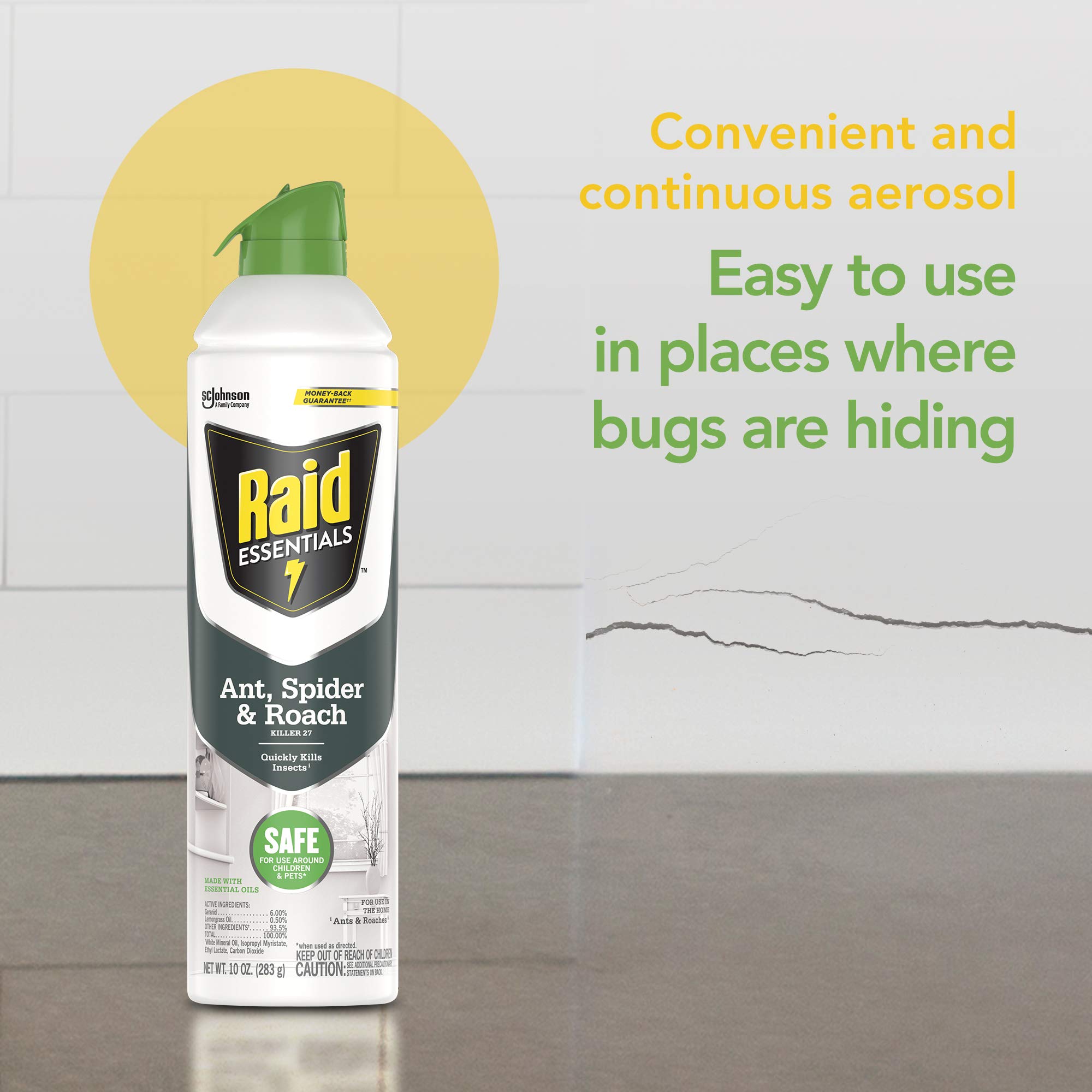 Raid Essentials Ant Spider, and Roach Killer Aerosol Spray, Child & Pet Safe, Kills Insects Quickly, for Indoor Use 10 Ounce (Pack of 3)