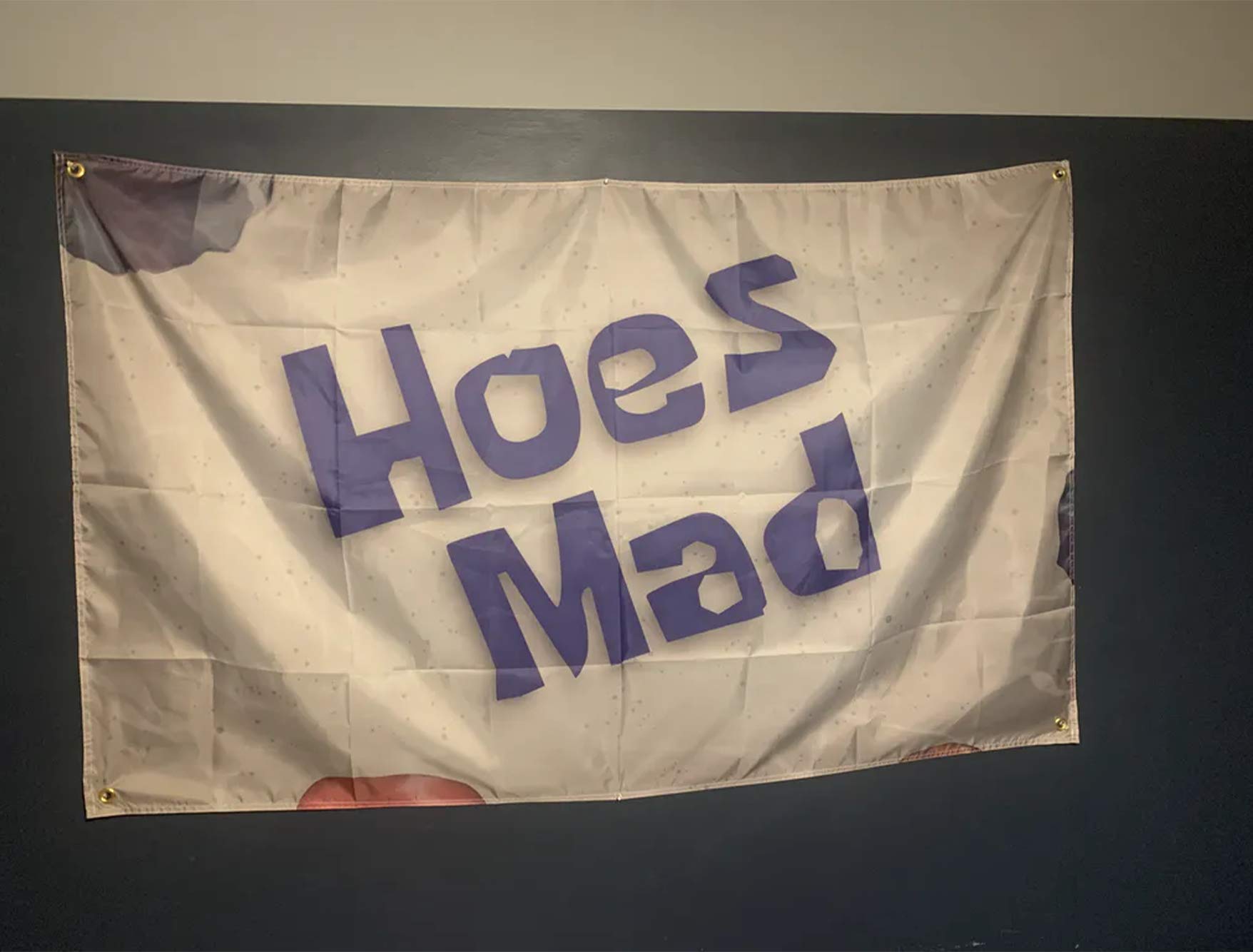 Probsin Hoes Mad Flag,3x5 Feet Banner,Funny Poster UV Resistance Fading & Durable Man Cave Wall Flag with Brass Grommets for College Dorm Room Decor,Outdoor,Parties,Gift,Tailgates