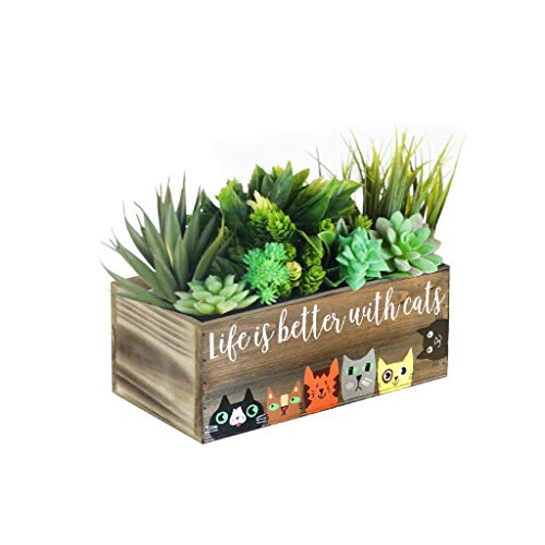 Cat Planter, Life is Better With Cats Wood Planter Box, Cat Mom, Catnip, Cat Lover Gift (Natural Brown Wood)