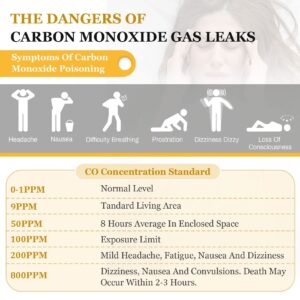 Lunarlipes Carbon Monoxide Detectors, Portable CO Detector with Temperature Sensor ＆ LCD Backlight Screen, Handheld Carbon Monoxide Meter Tester 0-1000PPM Range, Indoor/Oudoor (Includes Battery x3)