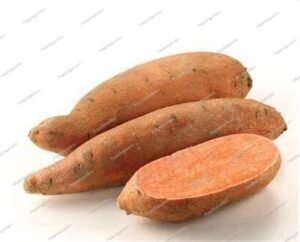 dichondra fresh 100pcs sweet potato vegetables seeds for planting orange