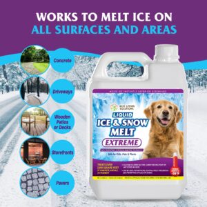 Liquid Ice & Snow Melt Extreme | Eco Living Solutions - Liquid Ice Melt & Liquid Deicer | Pet Safe Ice Melt | Ice Melt Safe for Concrete | Liquid Calcium Chloride Ice & Snow Melt (1 Gallon)