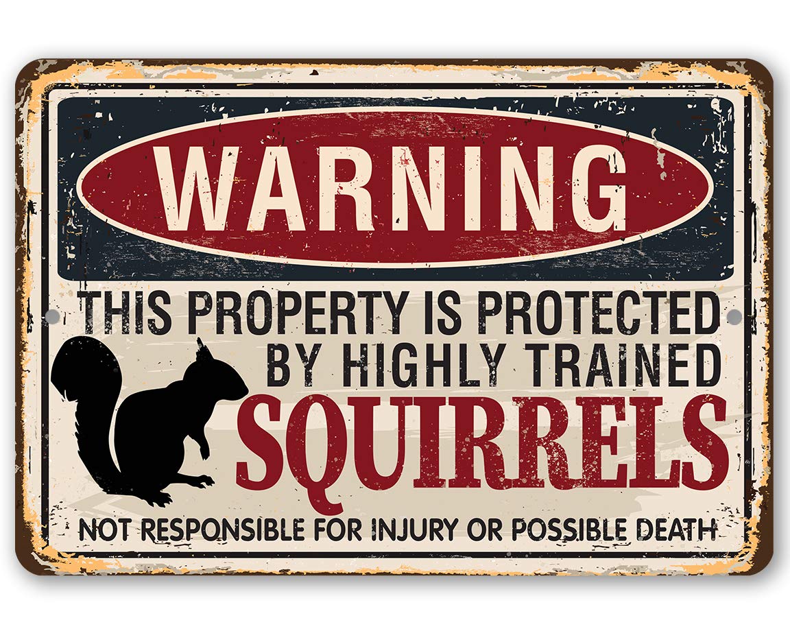 Metal Sign - Warning Property Squirrels - Durable Metal Sign - Use Indoor/Outdoor - Cute and Funny Garden Decor and Gift Under $20 (8" x 12")