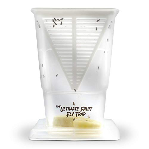 The Ultimate Fruit Fly Trap: Eco-Friendly, Reusable Indoor Kitchen Solution | Non-Toxic, Natural Bait Lure Effectively Catches & Kills Fruit Flies