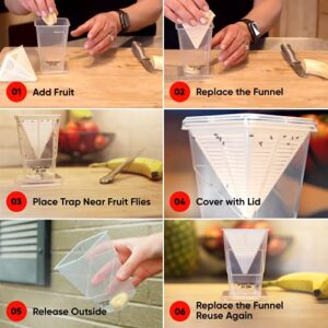 The Ultimate Fruit Fly Trap: Eco-Friendly, Reusable Indoor Kitchen Solution | Non-Toxic, Natural Bait Lure Effectively Catches & Kills Fruit Flies