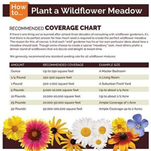 Non GMO Bulk Northeast Wildflower Seed Mix (1 Lb)