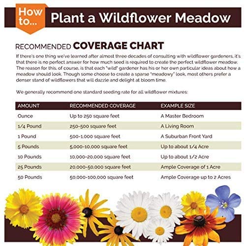 Non GMO Bulk Northeast Wildflower Seed Mix (1 Lb)